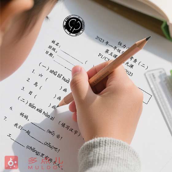 P1 Chinese | 2011 - 2023 | Singapore Top Primary Schools Exam Papers ...